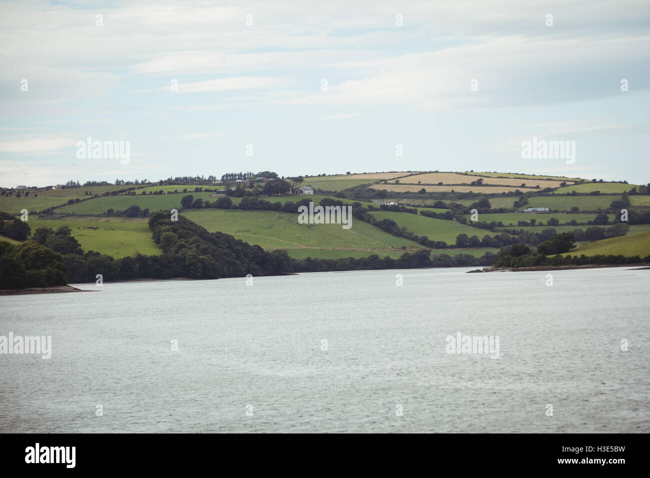 View of sea and field Stock Photo - Alamy