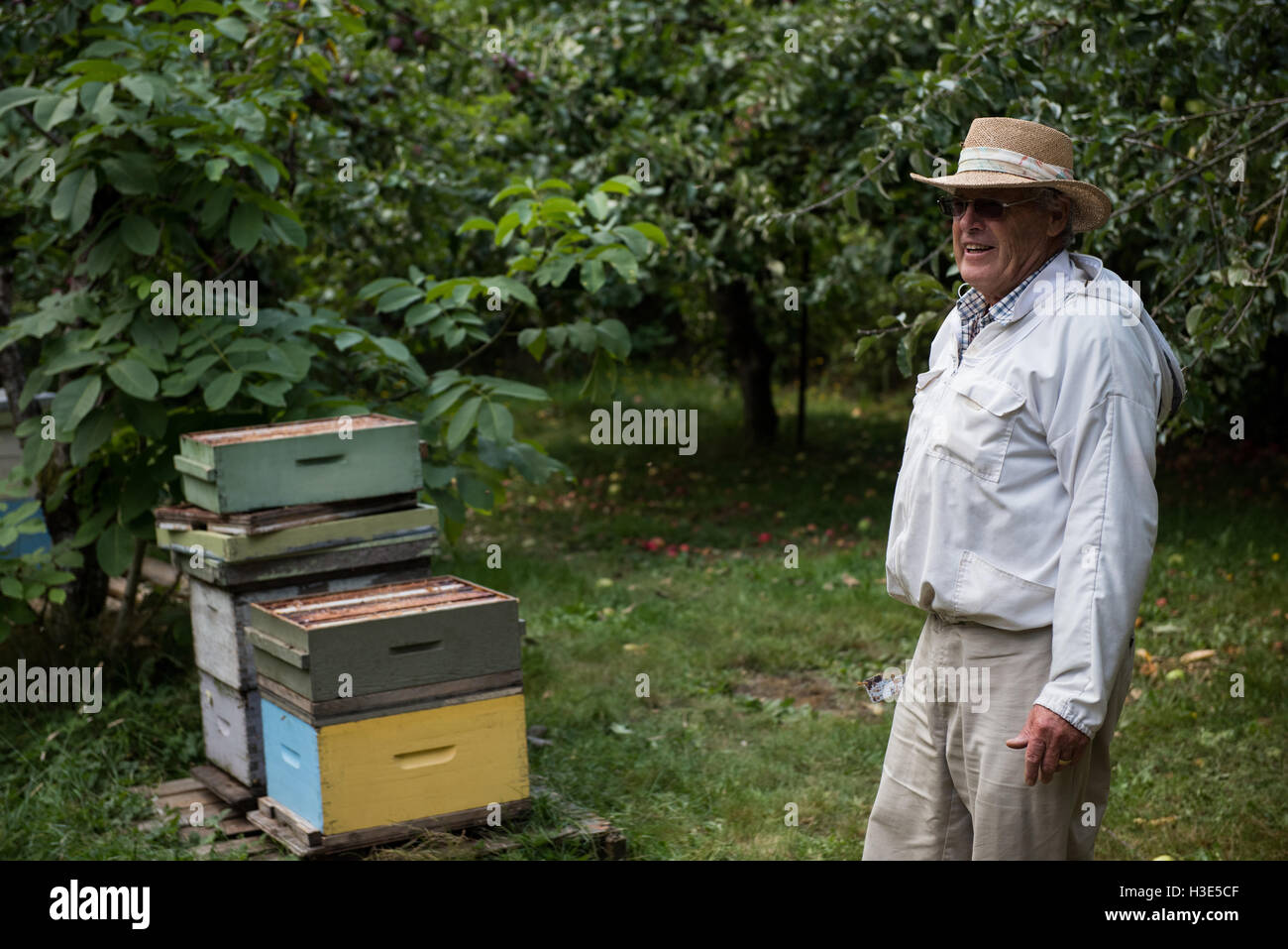 Beekeeper and garden hi-res stock photography and images - Alamy