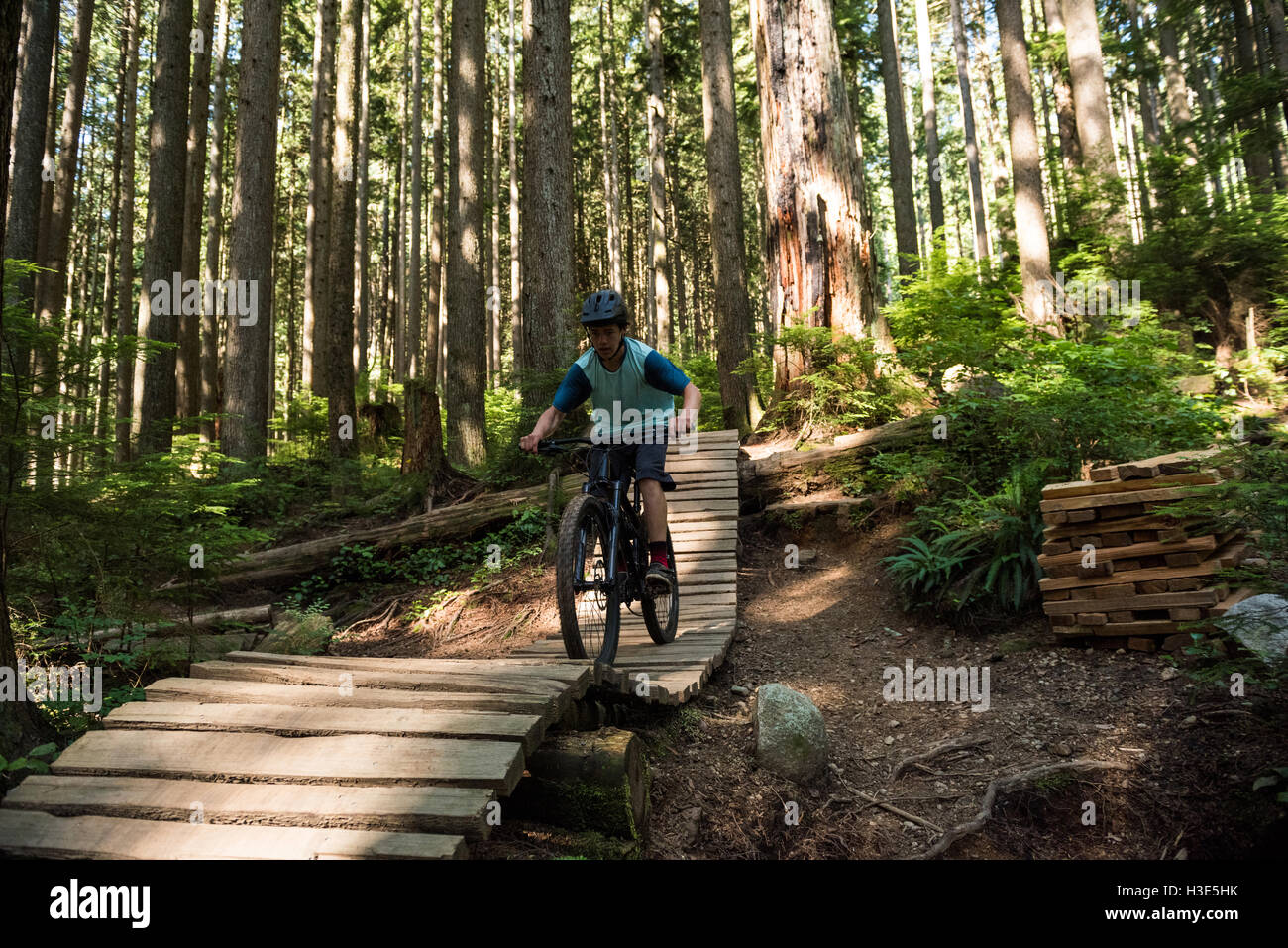 Male cyclist cycling in forest Stock Photo - Alamy