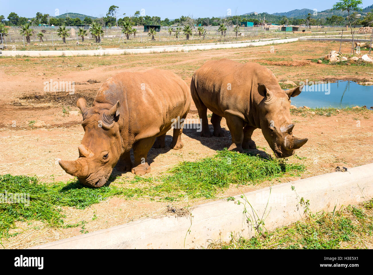 Safari zoo majorca hi-res stock photography and images - Alamy
