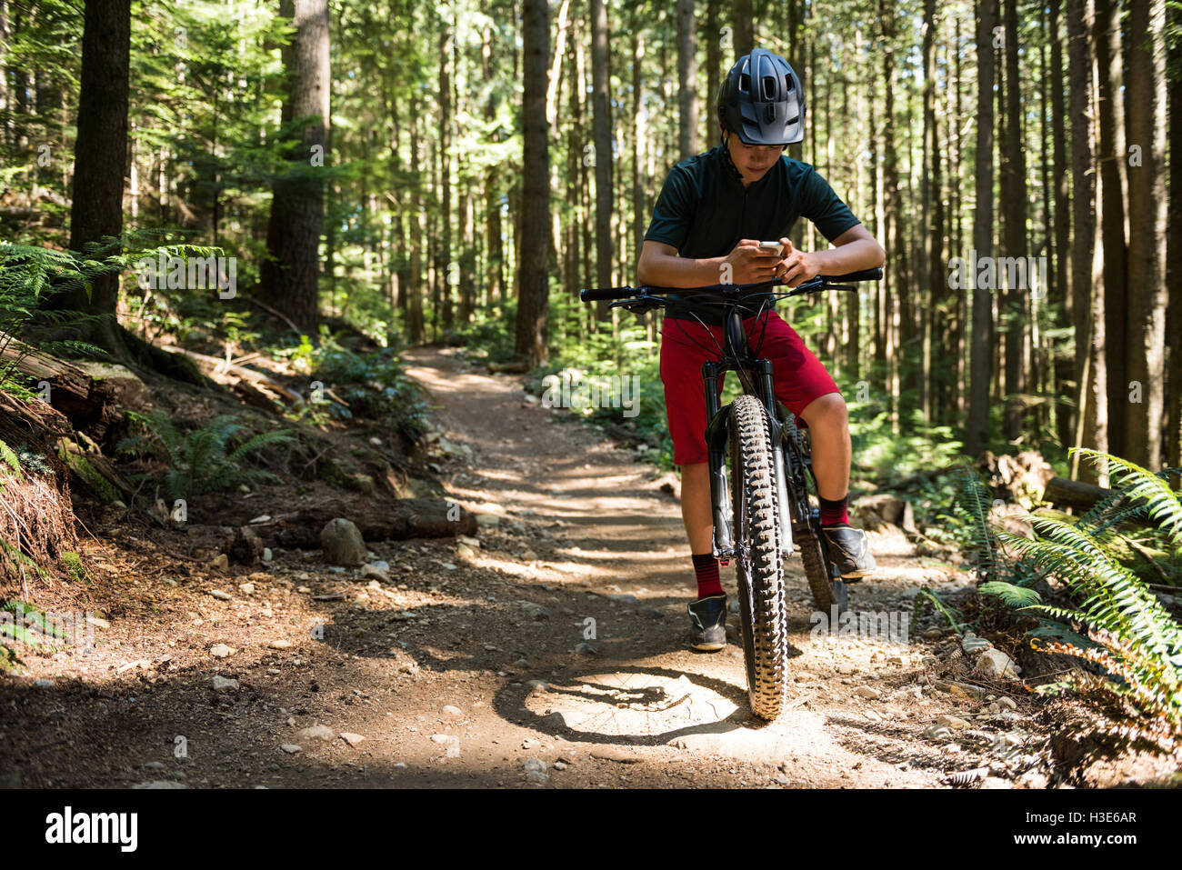 Cyclist using phone hi-res stock photography and images - Alamy