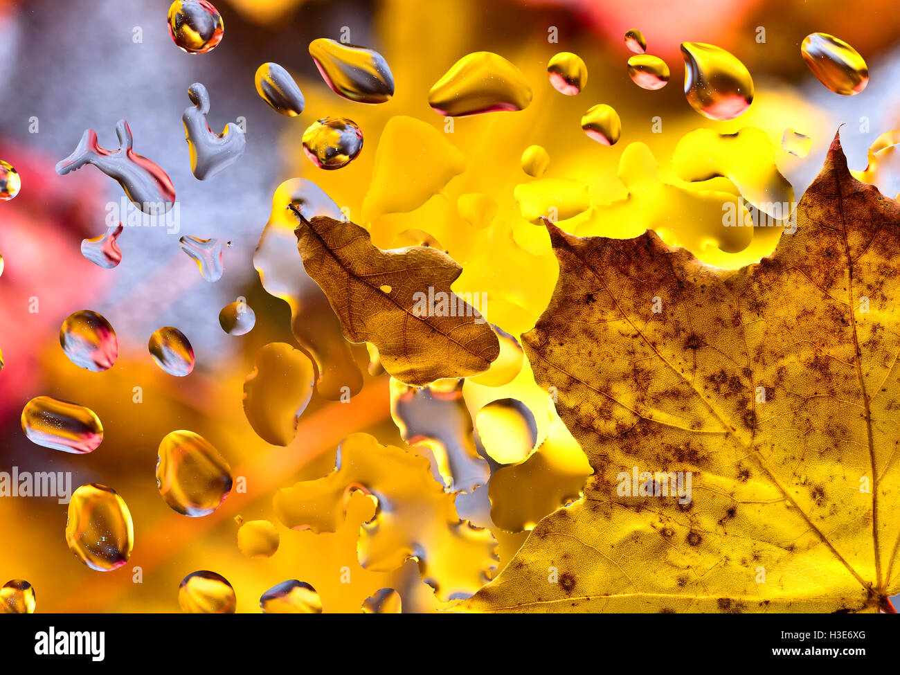 The Autumn background with leaves and rain water drops Stock Photo - Alamy
