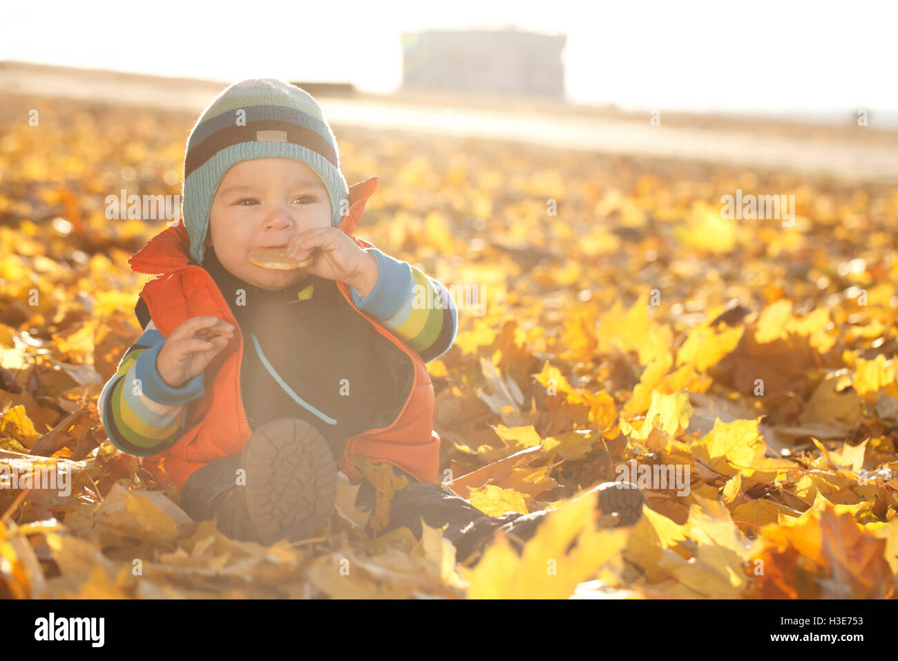 cute little boy outdoor autumn portrait, warm mood of the image Stock ...