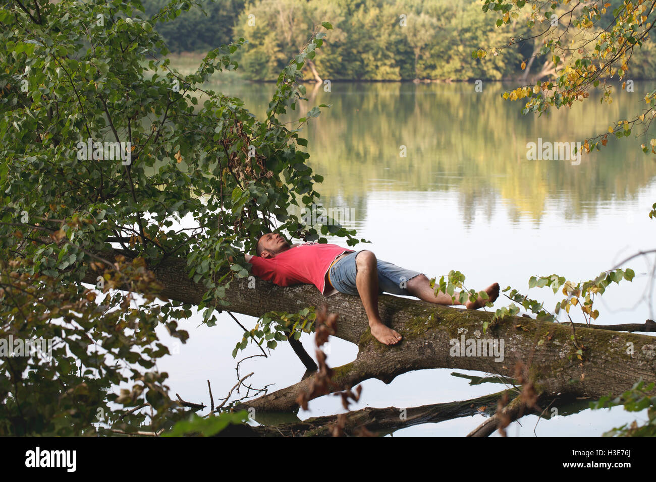 a young man lies on a tree and relaxing, nature lake water trees Stock ...