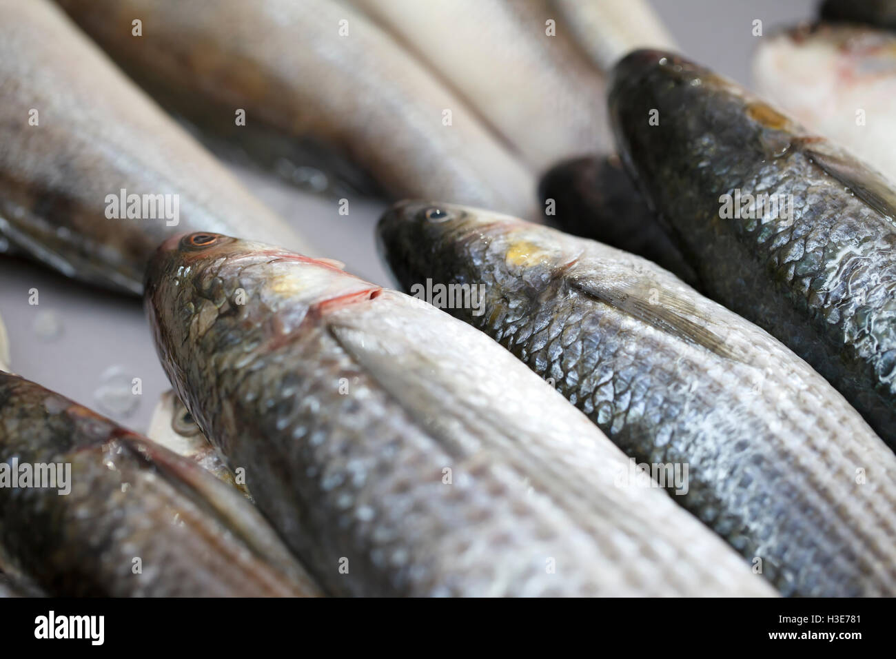 a closeup fresh fish, seafood background food Stock Photo - Alamy
