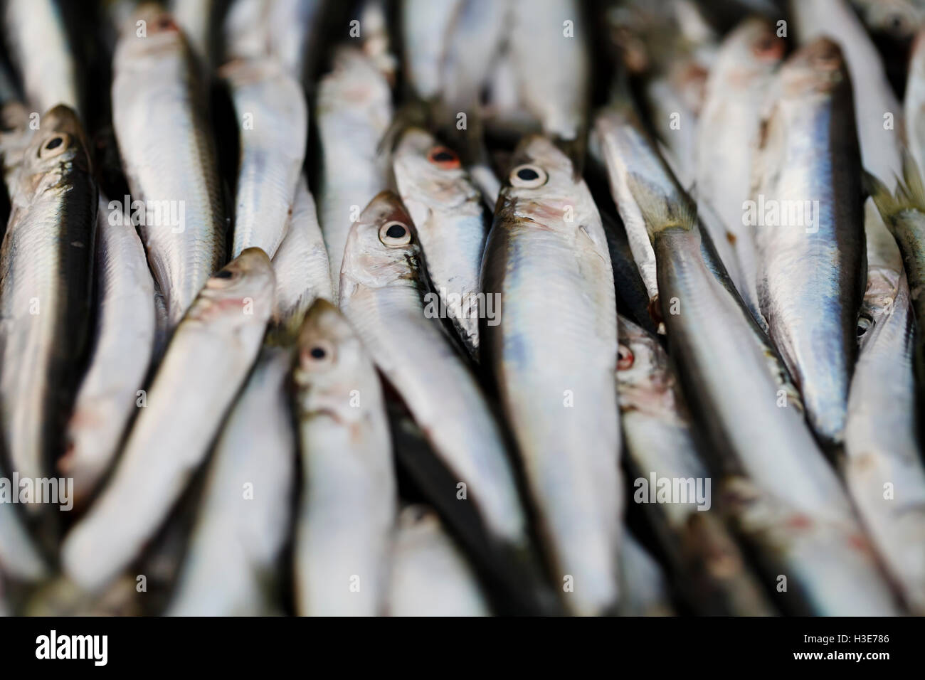 a closeup fresh fish, seafood background food Stock Photo - Alamy