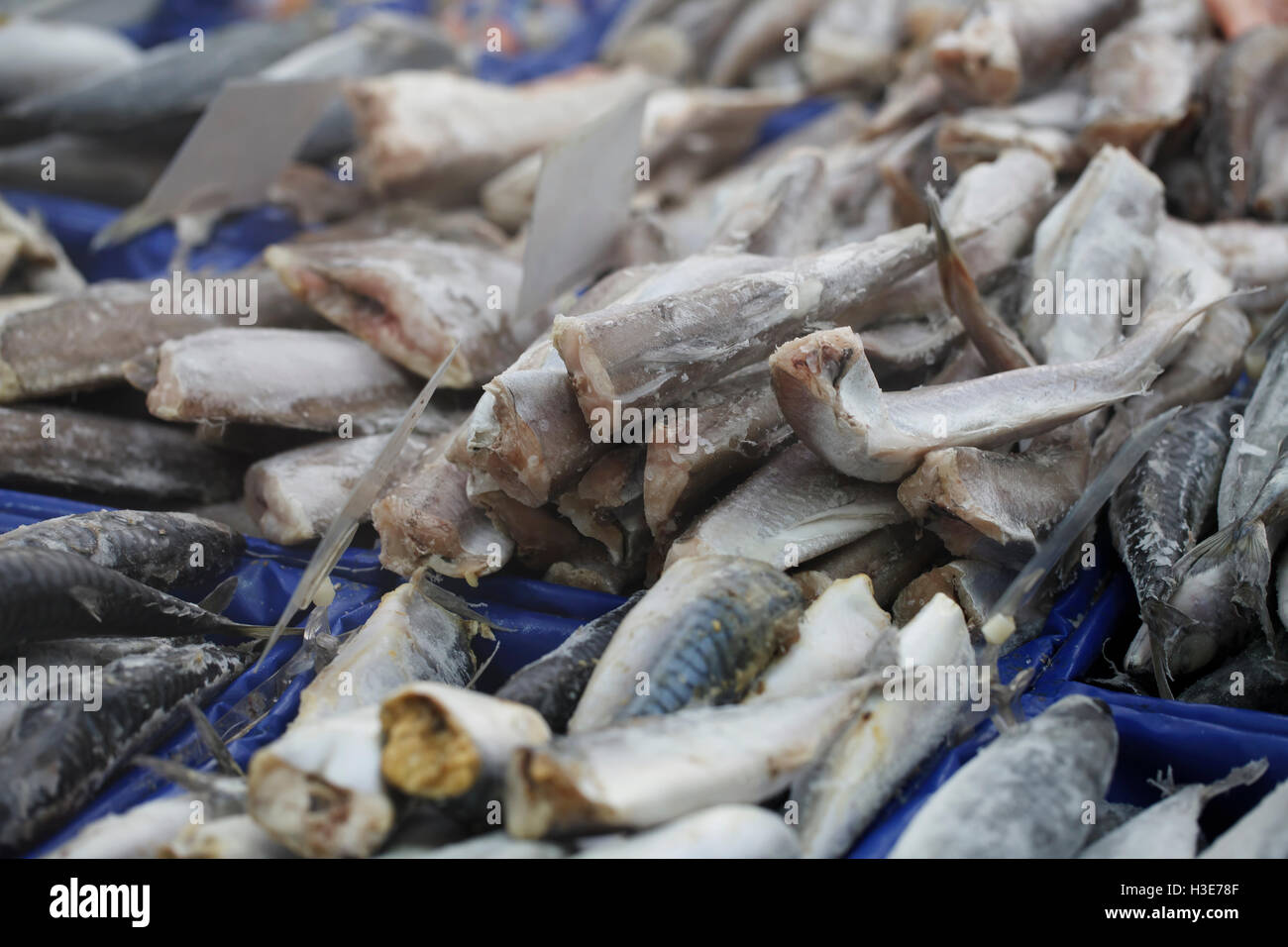 a closeup fresh fish, seafood background food Stock Photo - Alamy