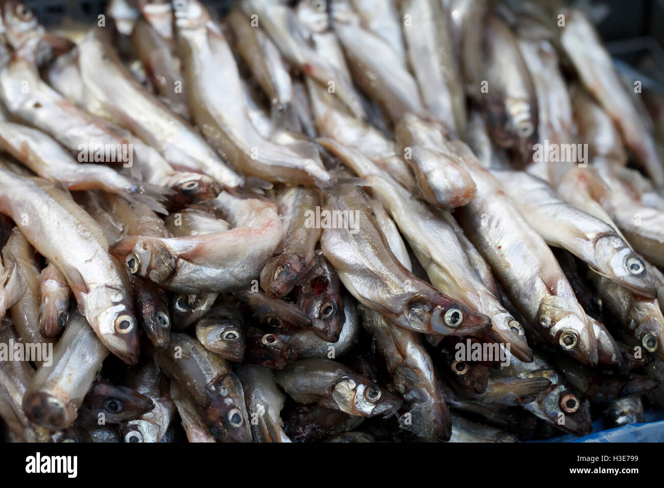 a closeup fresh fish, seafood background food Stock Photo - Alamy
