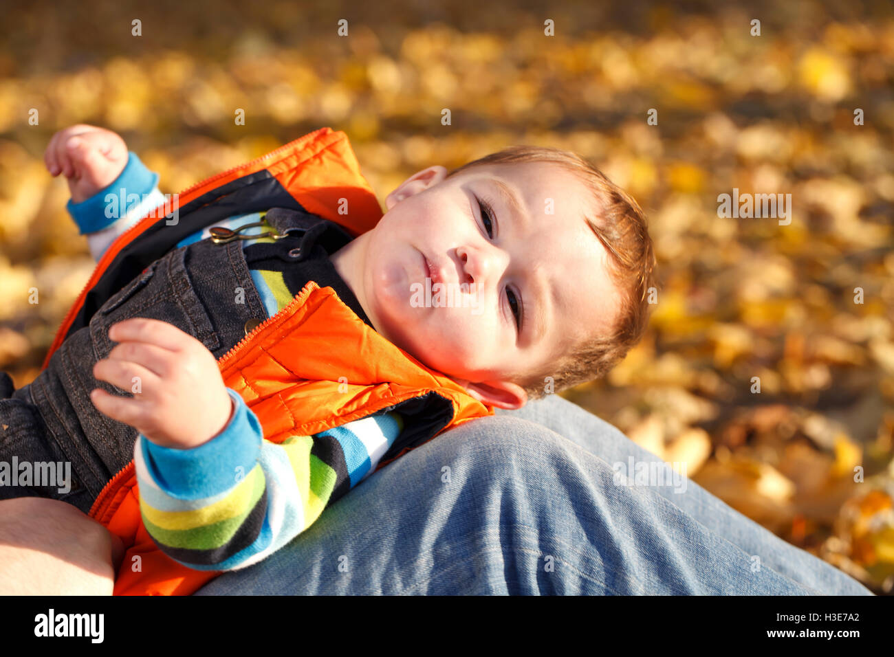 cute little boy outdoor autumn portrait, warm mood of the image Stock ...