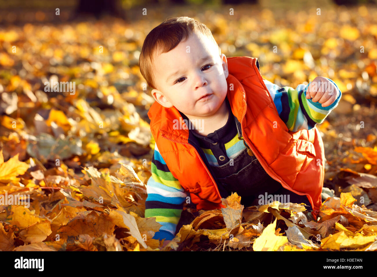 cute little boy outdoor autumn portrait, warm mood of the image Stock ...
