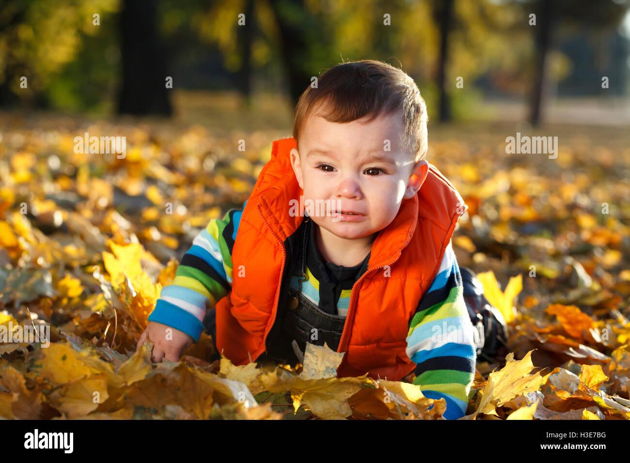 cute little boy outdoor autumn portrait, warm mood of the image Stock ...