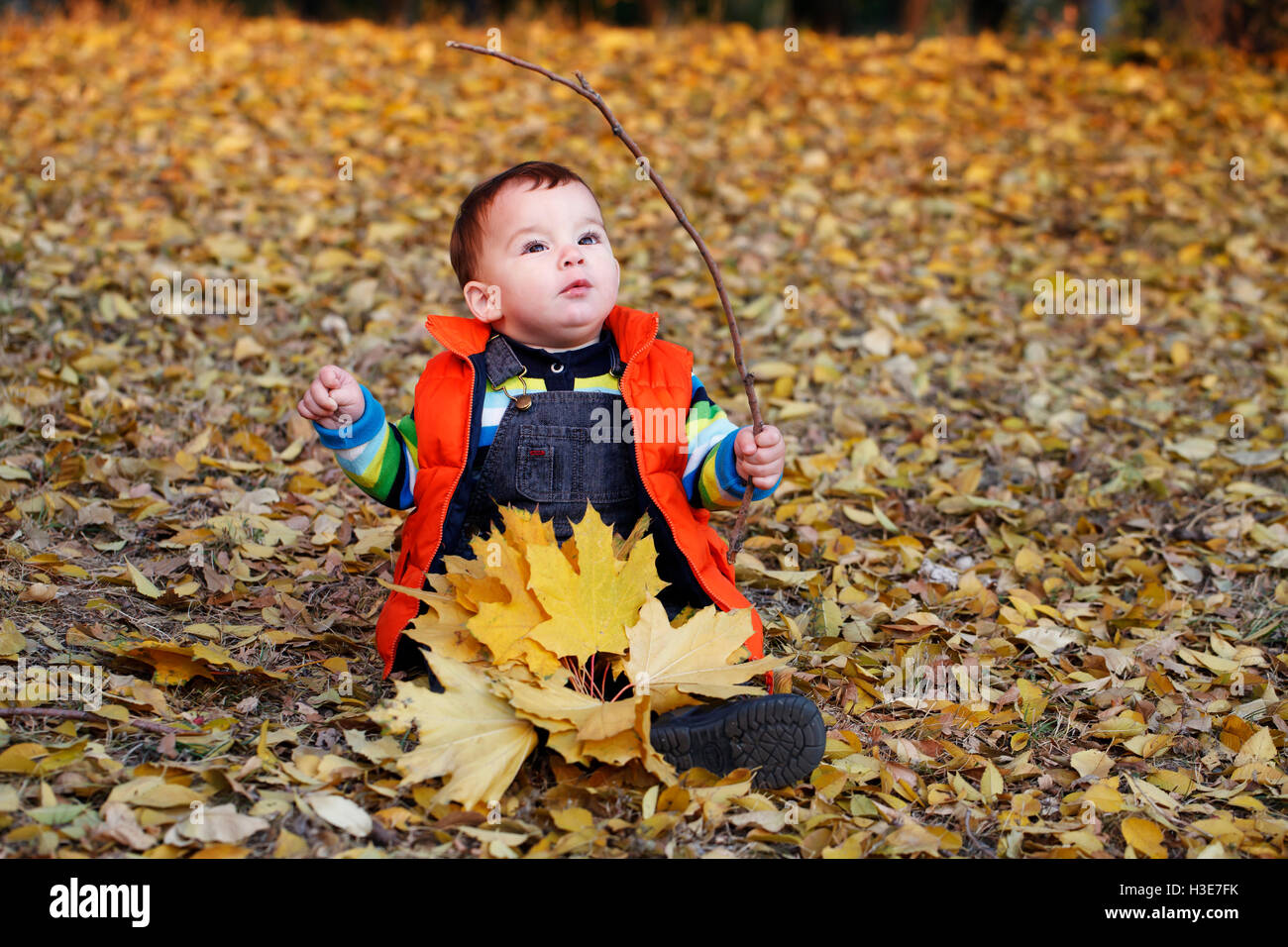 cute little boy outdoor autumn portrait, warm mood of the image Stock ...