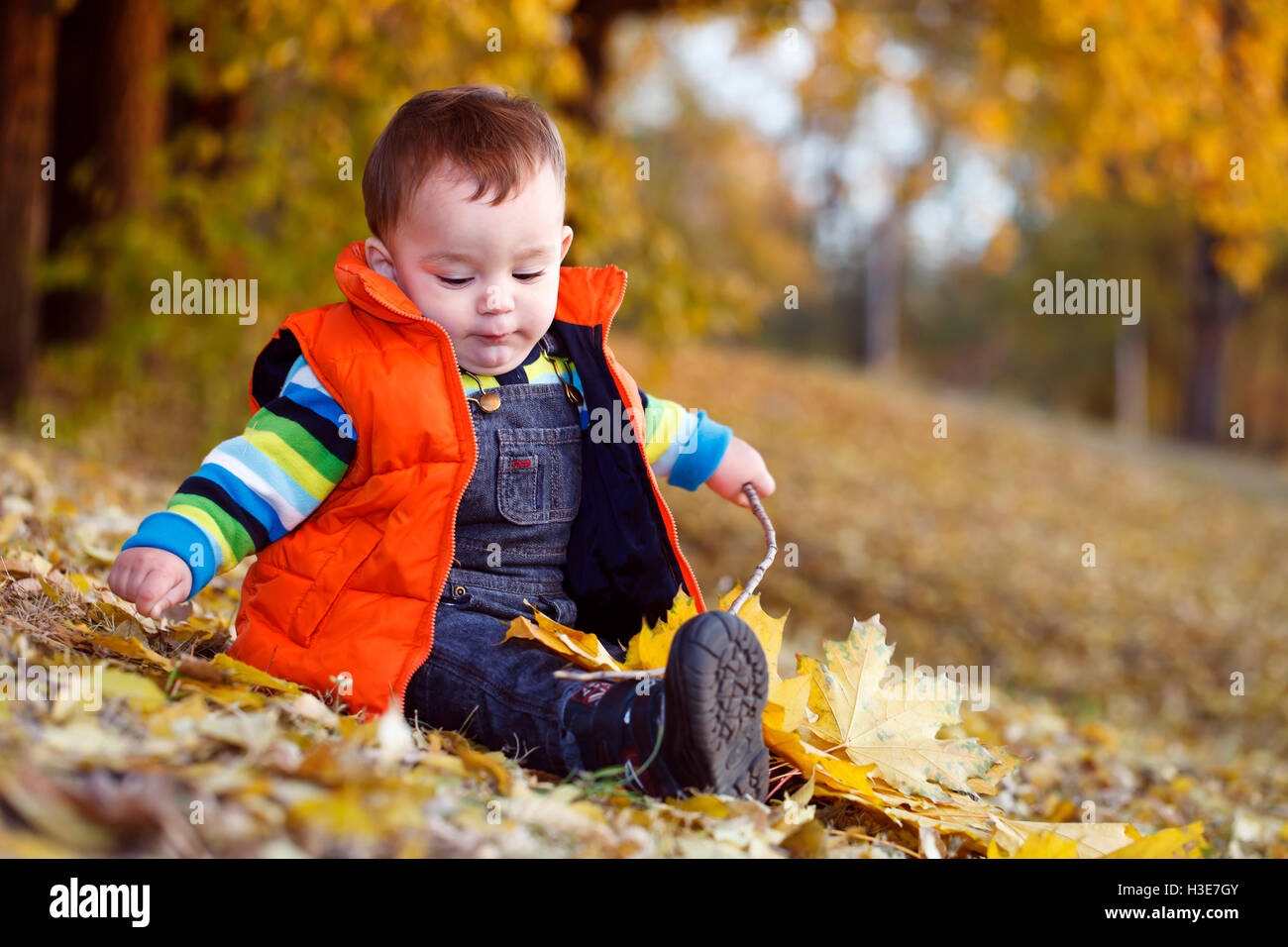 cute little boy outdoor autumn portrait, warm mood of the image Stock ...