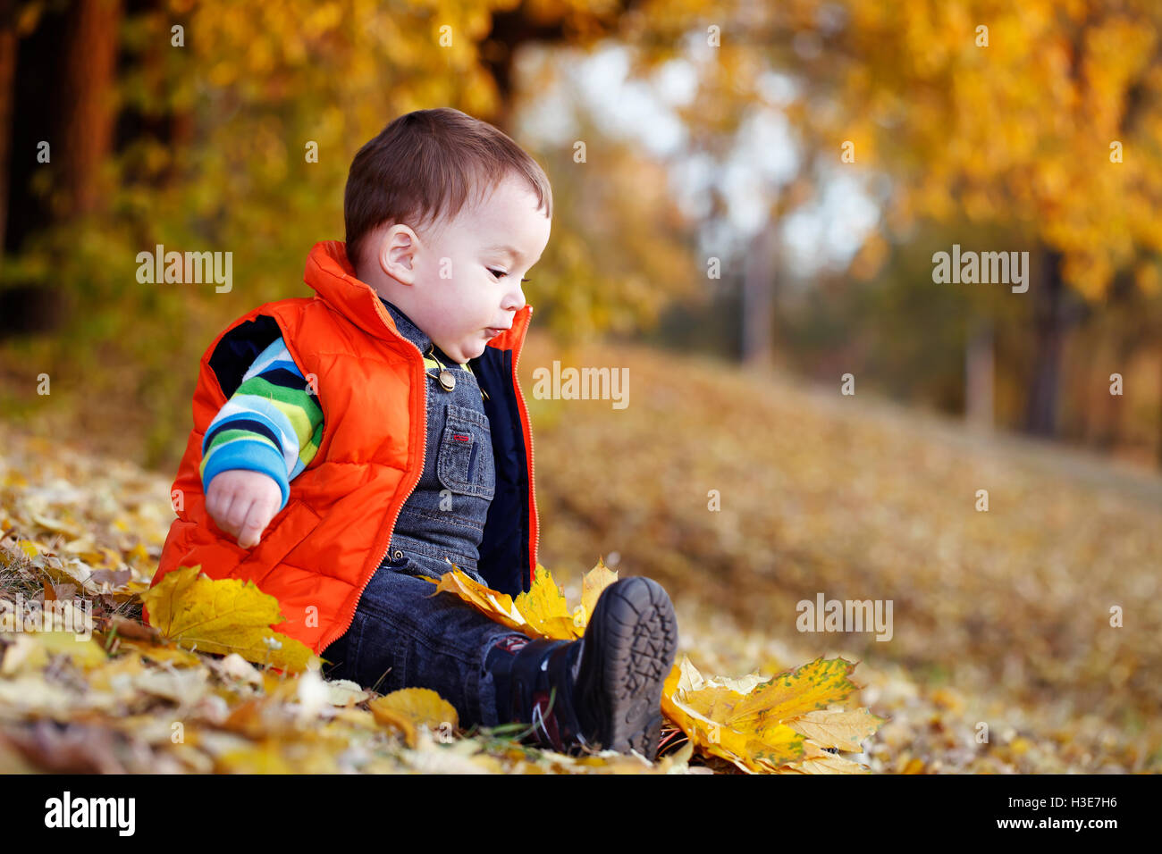 cute little boy outdoor autumn portrait, warm mood of the image Stock ...