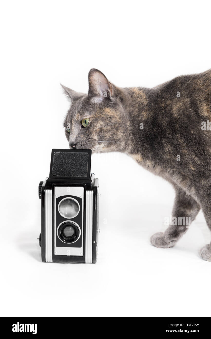 Smelling the camera lens hi-res stock photography and images - Alamy