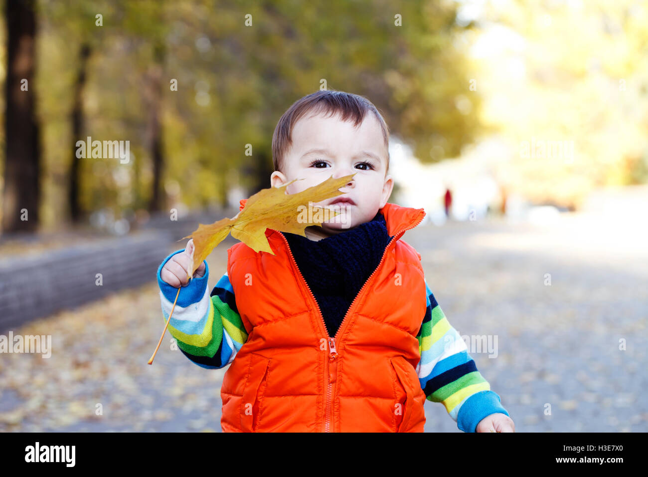 cute little boy outdoor autumn portrait, warm mood of the image Stock ...