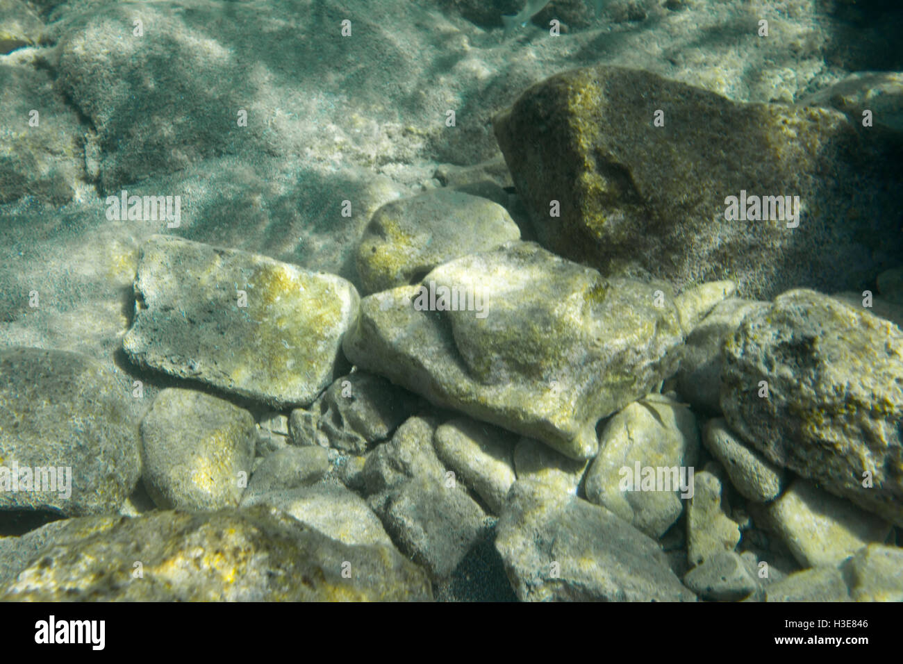 Human skull underwater hi-res stock photography and images - Alamy