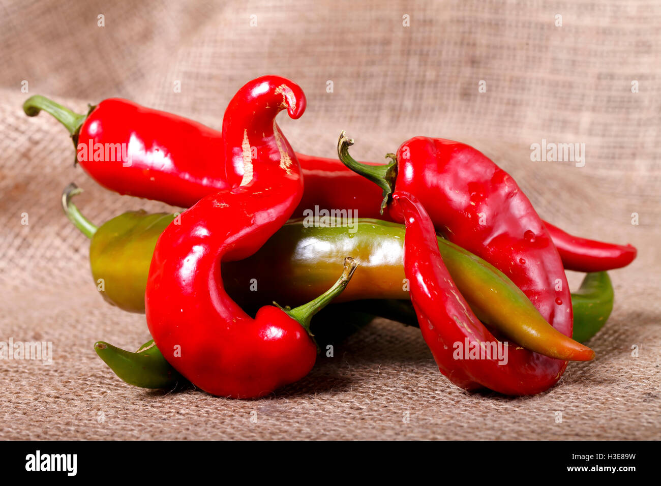 a hot peppers , beautiful background spices and condiments close up ...