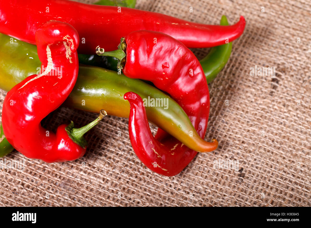 a hot peppers , beautiful background spices and condiments close up ...