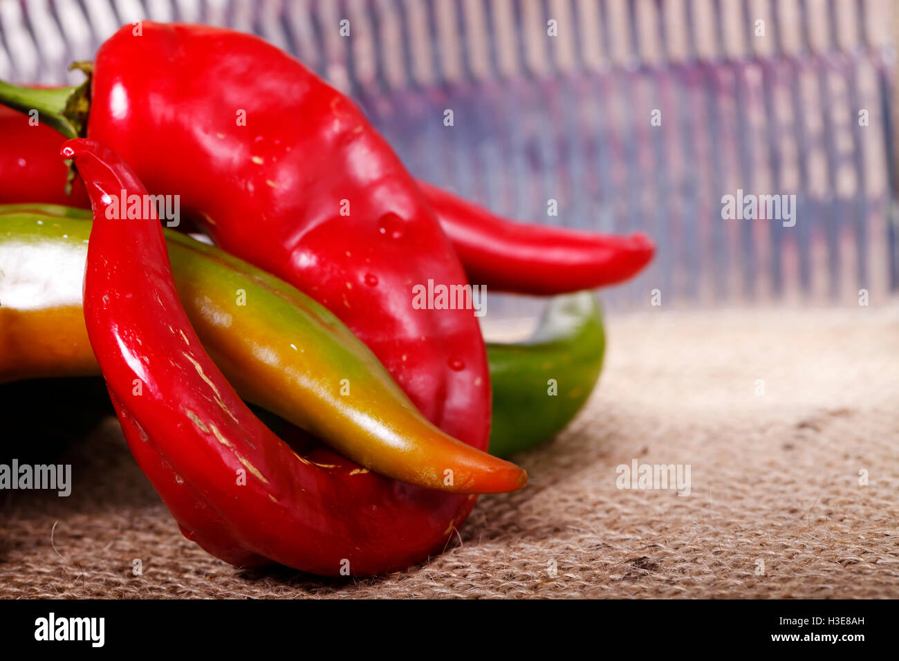 a hot peppers , beautiful background spices and condiments close up ...