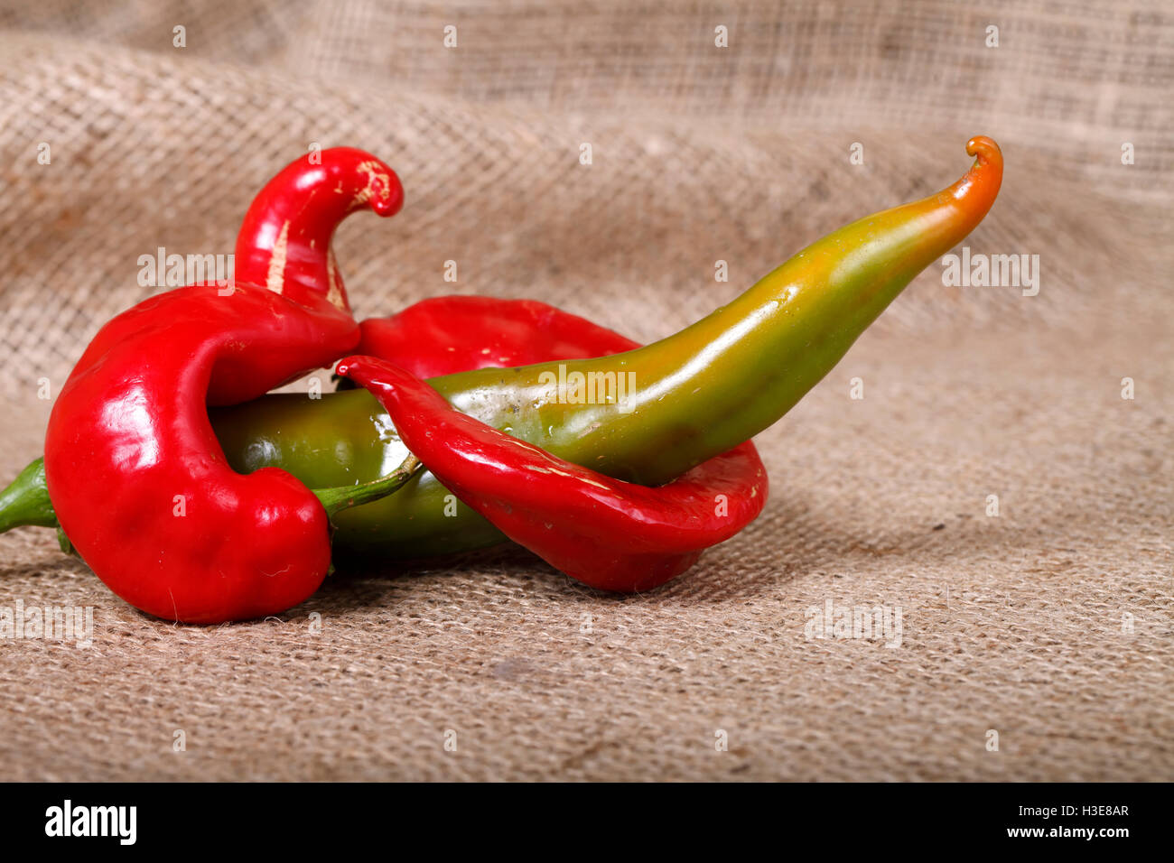 a hot peppers , beautiful background spices and condiments close up ...