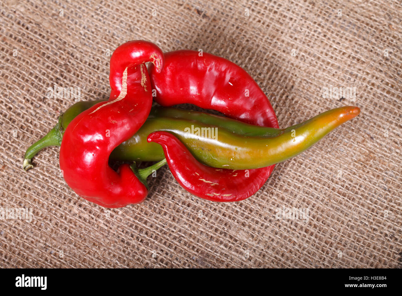 a hot peppers , beautiful background spices and condiments close up ...