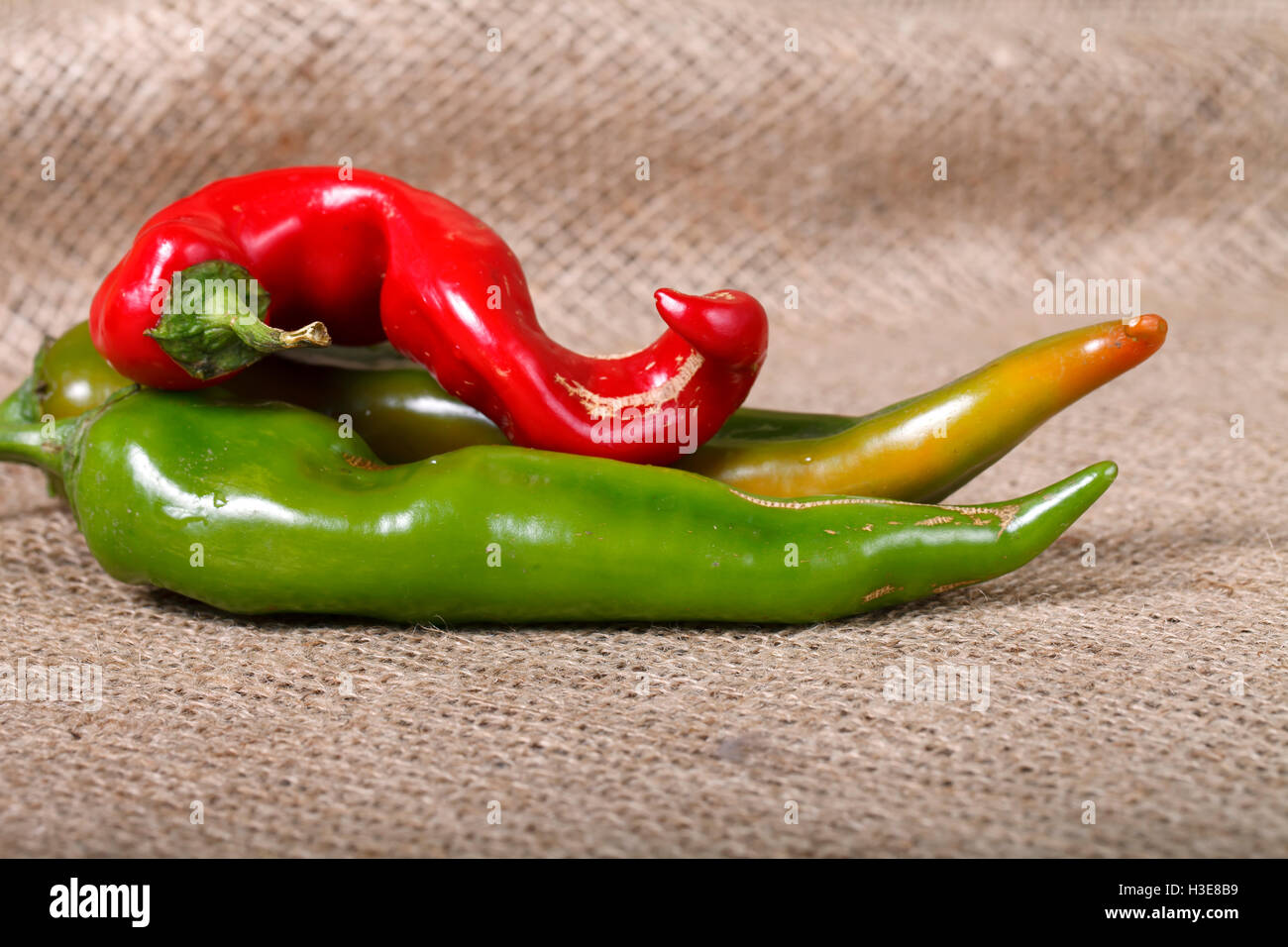 a hot peppers , beautiful background spices and condiments close up ...