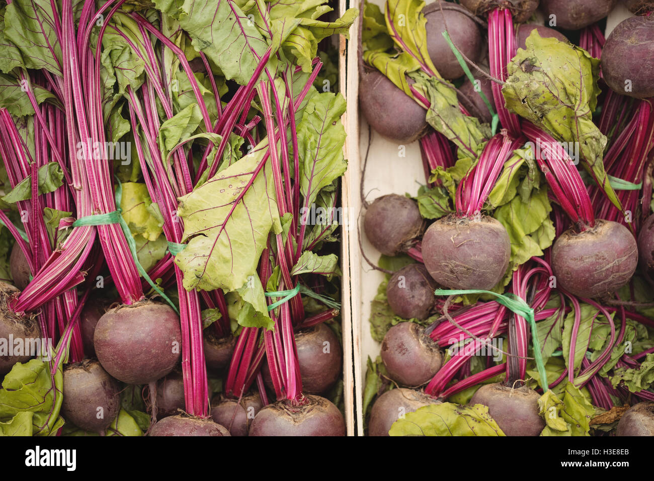 Fresh radish in supermarket Stock Photo - Alamy