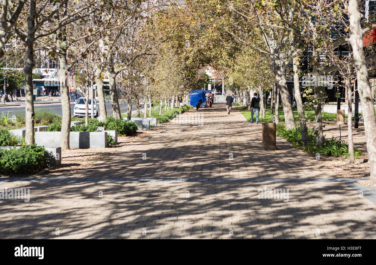 Pathway through tree lined park hi-res stock photography and images - Alamy