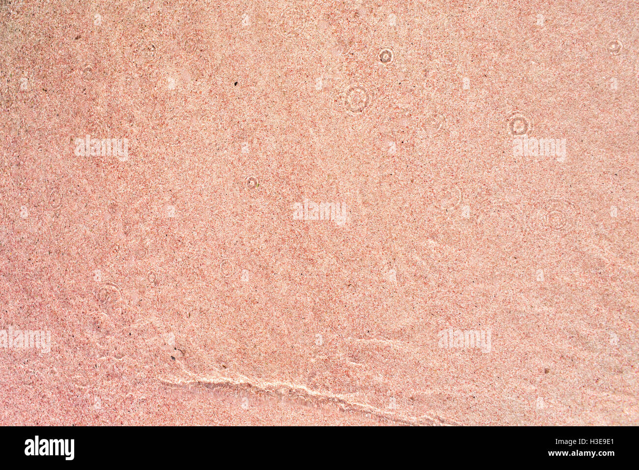 background of pink sand on the beach Stock Photo - Alamy