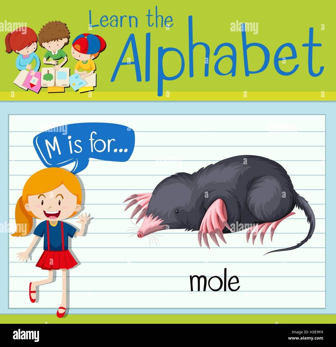 Flashcard letter M is for mole illustration Stock Vector Image & Art ...