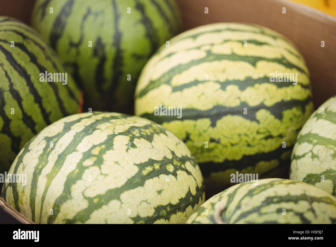Close-up of watermelons Stock Photo - Alamy