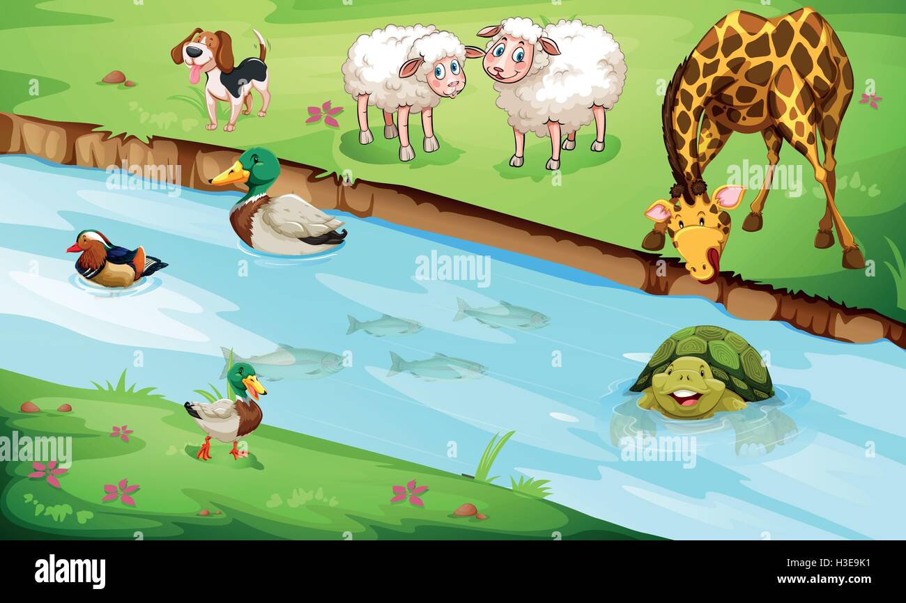 Many wildlife living by the river illustration Stock Vector Image & Art ...
