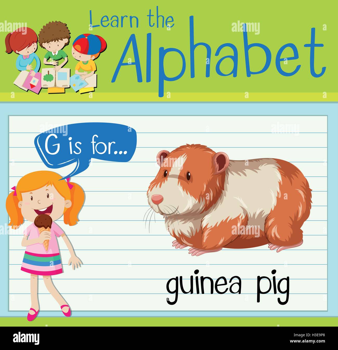 Flashcard letter G is for guinea pig illustration Stock Vector Image ...