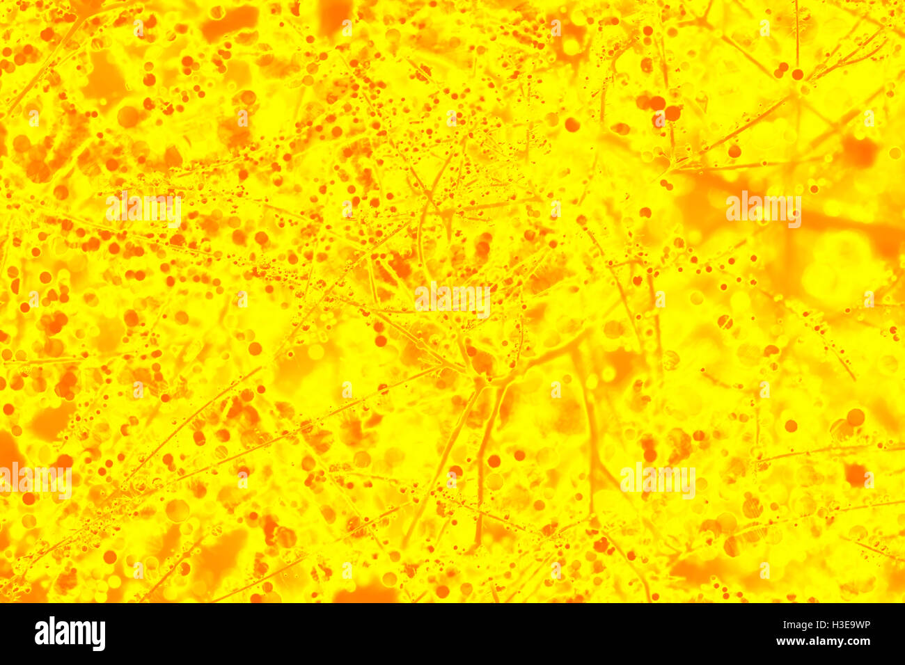 a bright yellow red abstraction , beautiful festive background Stock ...