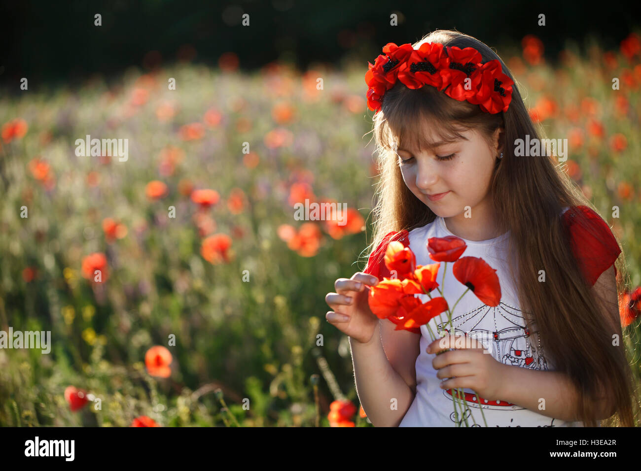 Portrait of a cute little girl in the meadow with poppies Stock Photo ...