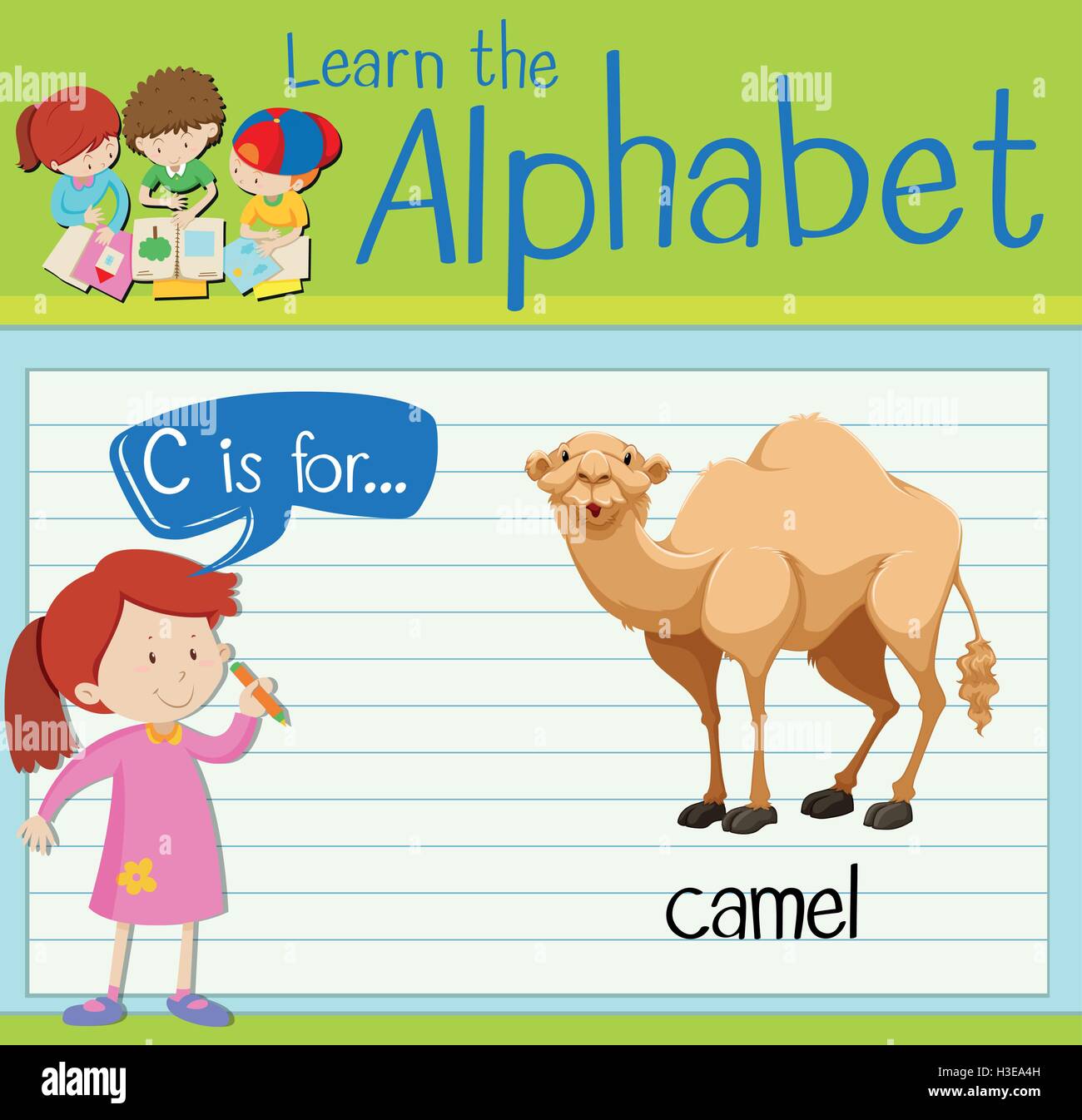 Flashcard letter C is for camel illustration Stock Vector Image & Art ...