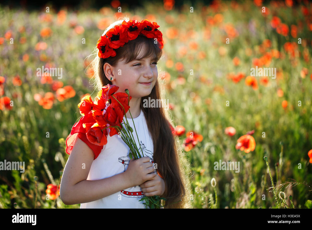 Portrait of a cute little girl in the meadow with poppies Stock Photo ...