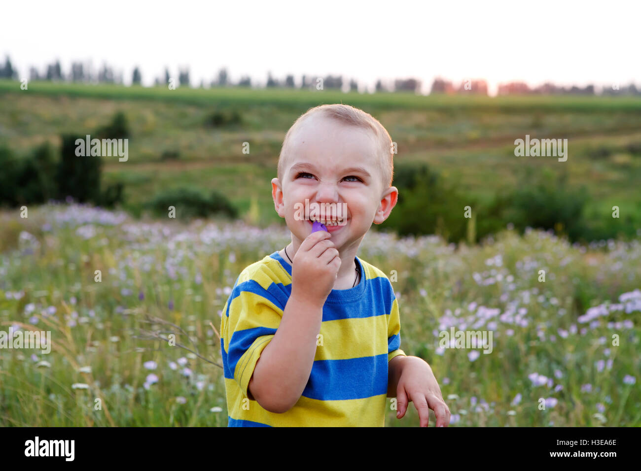 a Portrait of a cute little boy on nature Stock Photo - Alamy