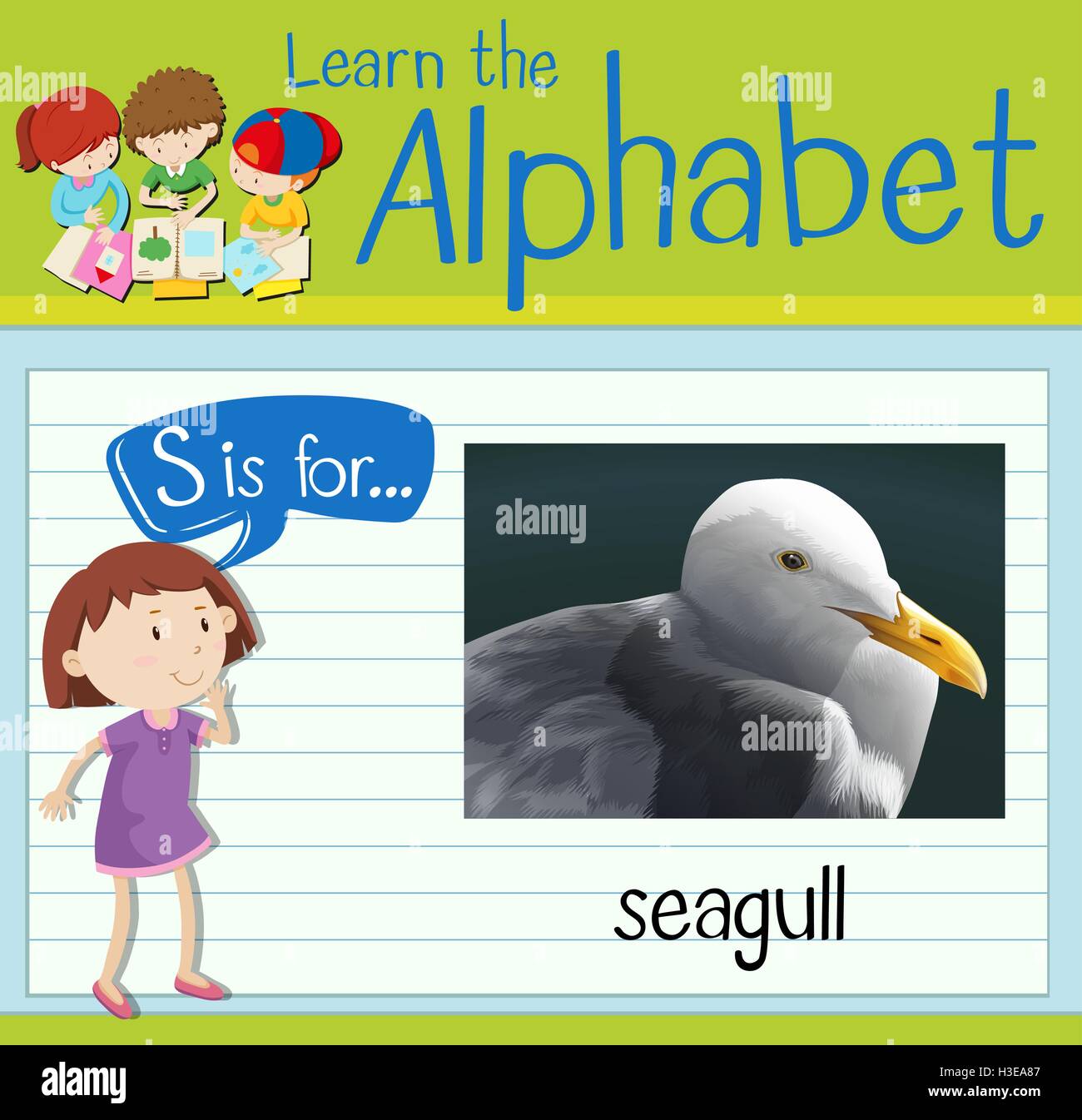 Flashcard letter S is for seagull illustration Stock Vector Image & Art ...