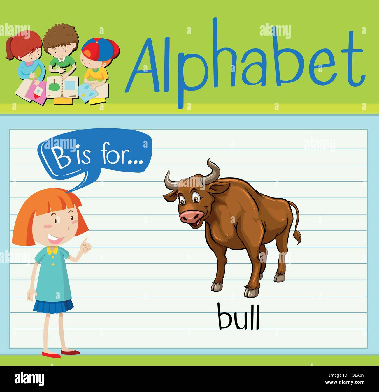 Flashcard letter B is for bull illustration Stock Vector Image & Art ...