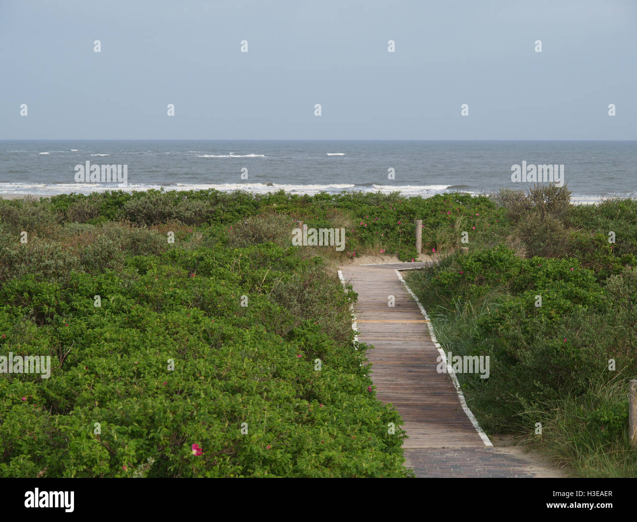 german islands in the north sea Stock Photo - Alamy