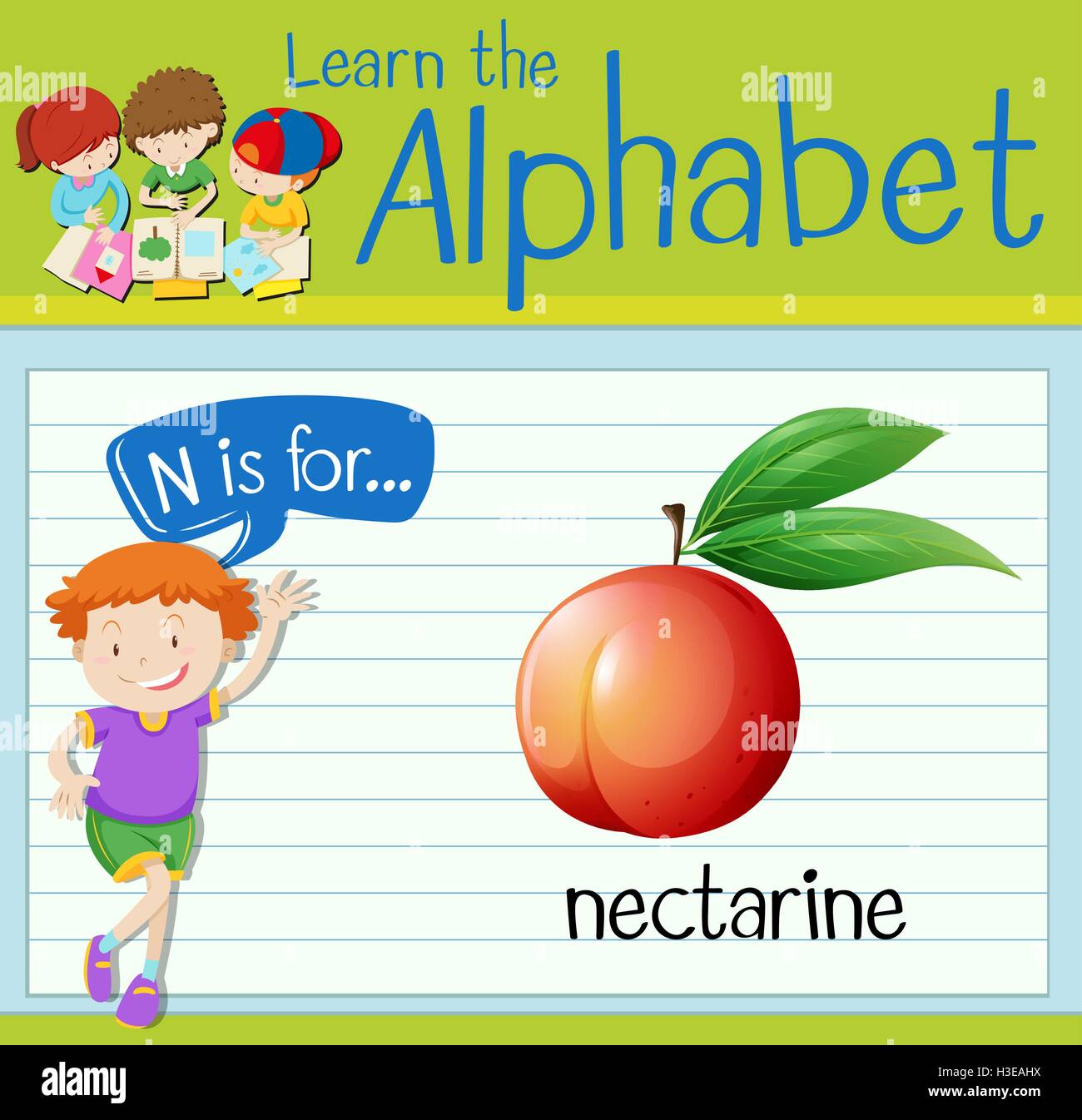 Flashcard letter N is for nectarine illustration Stock Vector Image ...
