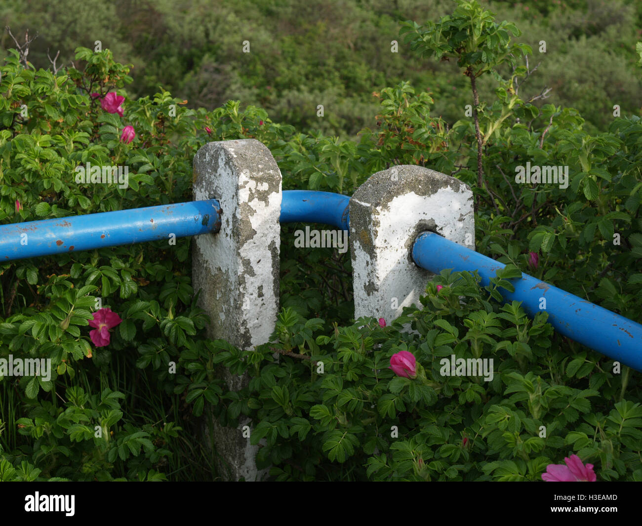german islands in the north sea Stock Photo - Alamy