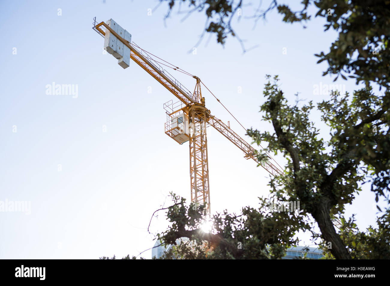 Crane and building construction site Stock Photo - Alamy