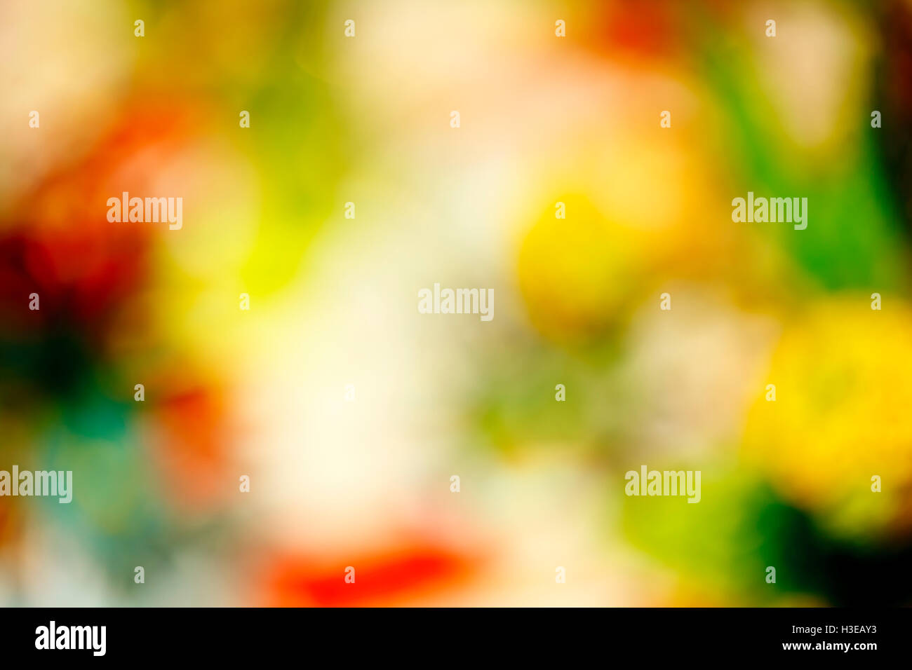a Bright colorful blurred background with bokeh Stock Photo - Alamy