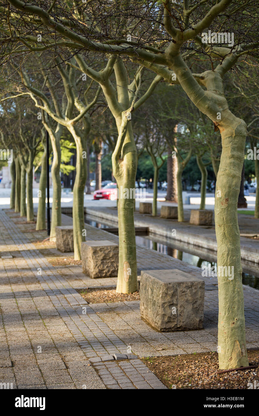 Pathway lined hi-res stock photography and images - Alamy