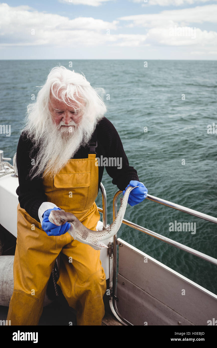 Fisherman holding fish Stock Photo - Alamy