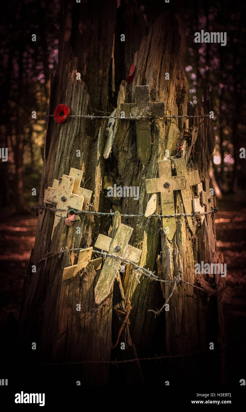 Ww1 battlefield barbed wire hi-res stock photography and images - Alamy