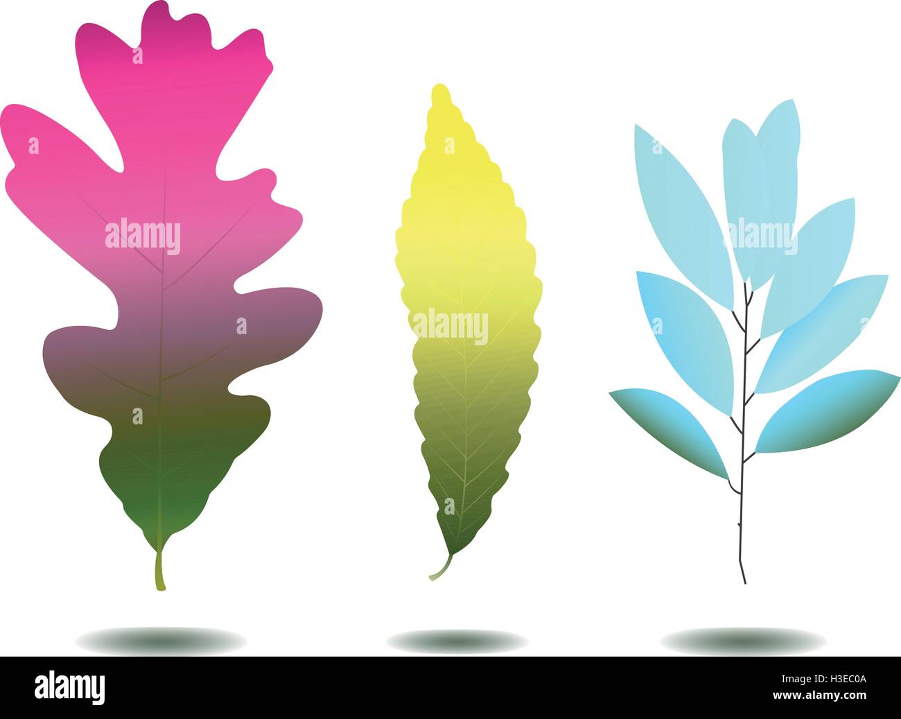 Colorful leaves set, isolated on white background Stock Vector Image ...